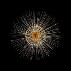 RADIOLARIUM I : Guido Mocafico